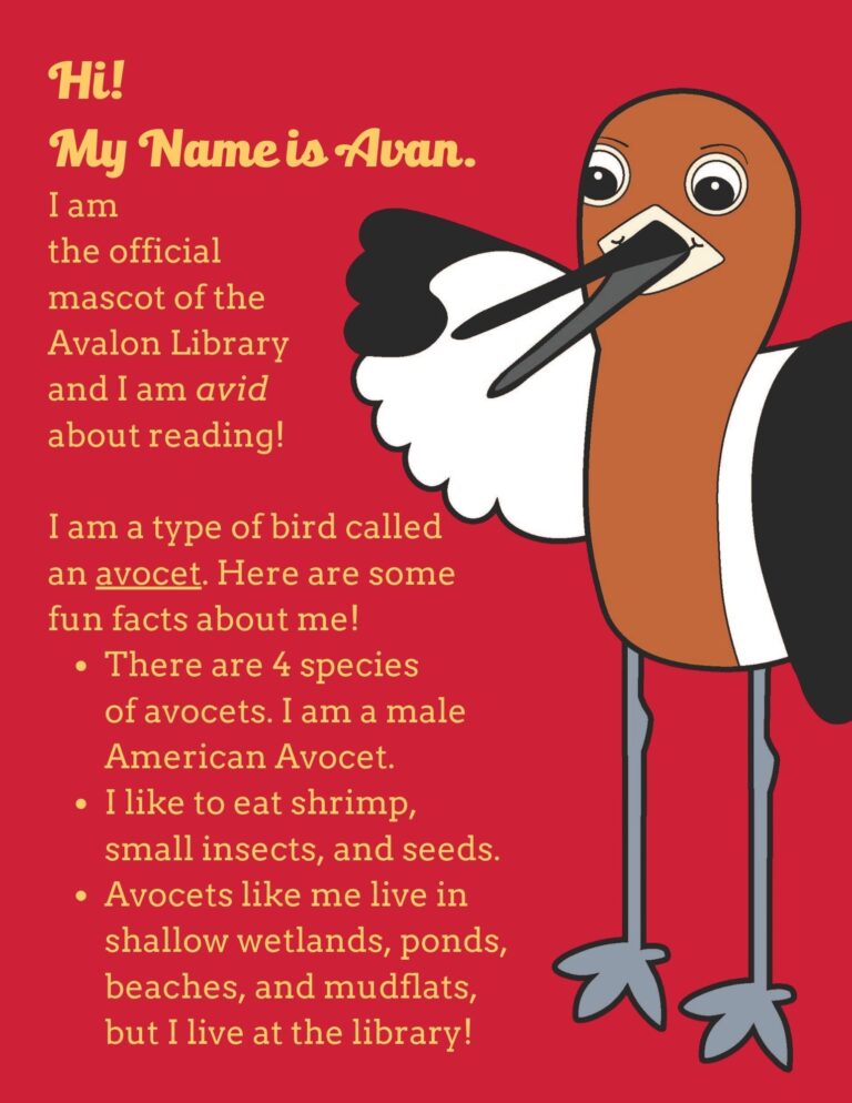 Avalon Public Library – Come in and check us out!